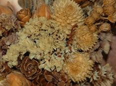 Personality Color Brown